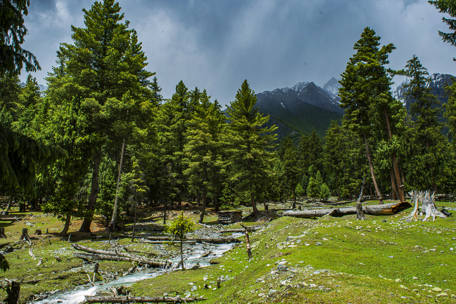 Trekking in Khaltaro Valley and Khun Meadows – Pakistan Highlands