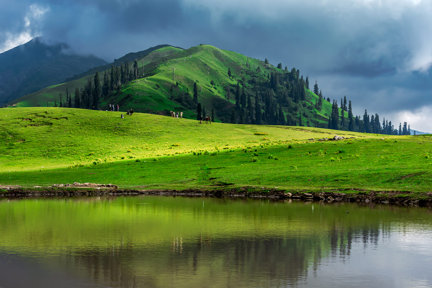 Siri Paye – Shogran Valley – Pakistan Highlands